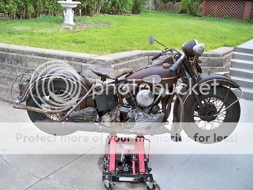 Knucklehead lovers | Page 2 | Jockey Journal Forum